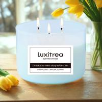 China Private Label Candle Luxitrea Candle  Sweet notes of flowers and fruits  Iris Azure Blue 3 Wicks Scented candles 10 oz for sale