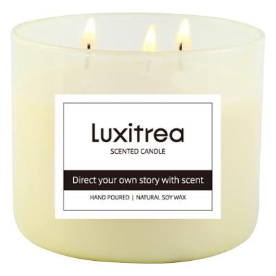 China Luxitrea Candle  Private Label Candle  3 Wicks Scented Candle 10oz White peach  oolong fruit aroma  unique fragrance for sale