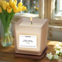 China Private Label Candle Luxitrea Candle White Peach Oolong Fragrant Aroma Candle 3 oz for sale