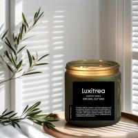 China 11oz 2 Wick Highly Scented Soy Candles 70H Burn Time Humble Swamp‌ Mood Boosting Aromatherapy‌ for sale