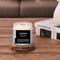 China Subtle Art Plum Blossom Candle 11 Oz 2 Wick 70H Burn Time Luxury Design for sale