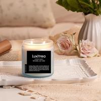 China Subtle Art Plum Blossom Candle 11 Oz 2 Wick 70H Burn Time Luxury Design for sale