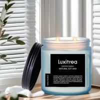 China Subtle Art Plum Blossom Candle 11 Oz 2 Wick 70H Burn Time Luxury Design for sale
