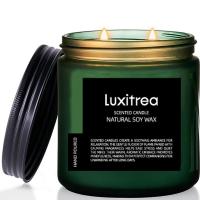 China Luxitrea Candle Scented Soy Wax Candle 11 oz 2 Wick 70H Burn Time Greer Nightingale Scented Candle for sale