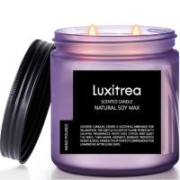 China Luxitrea Candle Scented Soy Wax Candle 11oz 2 Wick 70H Burn Time Purple taro Scented Candle for sale