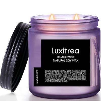 China Luxitrea Candle Scented Soy Wax Candle 11oz 2 Wick 70H Burn Time Purple taro Scented Candle for sale