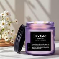 China Luxitrea Candle Scented Soy Wax Candle 11oz 2 Wick 70H Burn Time Purple taro Scented Candle for sale