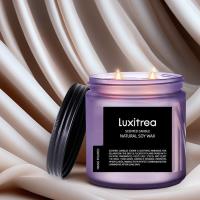 China Luxitrea Candle Scented Soy Wax Candle 11oz 2 Wick 70H Burn Time Purple taro Scented Candle for sale