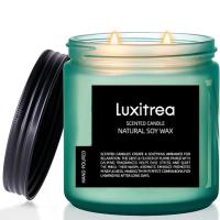 China Luxitrea Candle Lavas Icelandic Moss‌ Scented Candle  Scented Soy Wax Candle 11oz 2 Wick 70H Burn Time for sale