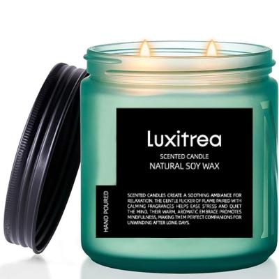 China Luxitrea Candle Lavas Icelandic Moss‌ Scented Candle  Scented Soy Wax Candle 11oz 2 Wick 70H Burn Time for sale