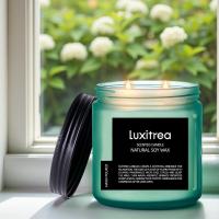 China Luxitrea Candle Lavas Icelandic Moss‌ Scented Candle  Scented Soy Wax Candle 11oz 2 Wick 70H Burn Time for sale