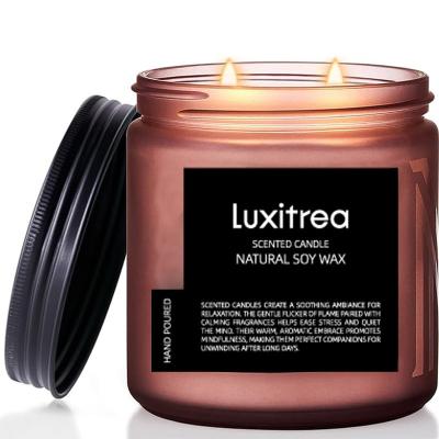 China Scented Soy Wax Candle AERY Pleasure Space Scented Candle Luxitrea Candle 11oz 2 Wick 70H Burn Time for sale