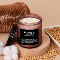 China Scented Soy Wax Candle AERY Pleasure Space Scented Candle Luxitrea Candle 11oz 2 Wick 70H Burn Time for sale
