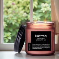 China Scented Soy Wax Candle AERY Pleasure Space Scented Candle Luxitrea Candle 11oz 2 Wick 70H Burn Time for sale