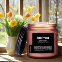 China Scented Soy Wax Candle AERY Pleasure Space Scented Candle Luxitrea Candle 11oz 2 Wick 70H Burn Time for sale