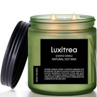 China Luxitrea Candle SubtleArt Jinling Winter Plum‌ Scented Candle 11 oz 2 Wick 70H Burn Time Scented Soy Wax Candle for sale