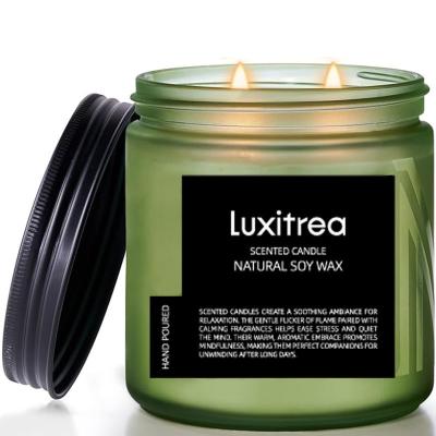 China Luxitrea Candle SubtleArt Jinling Winter Plum‌ Scented Candle 11 oz 2 Wick 70H Burn Time Scented Soy Wax Candle for sale