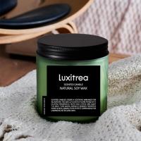 China Luxitrea Candle SubtleArt Jinling Winter Plum‌ Scented Candle 11 oz 2 Wick 70H Burn Time Scented Soy Wax Candle for sale