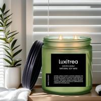 China Luxitrea Candle SubtleArt Jinling Winter Plum‌ Scented Candle 11 oz 2 Wick 70H Burn Time Scented Soy Wax Candle for sale