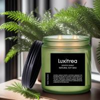 China Luxitrea Candle SubtleArt Jinling Winter Plum‌ Scented Candle 11 oz 2 Wick 70H Burn Time Scented Soy Wax Candle for sale