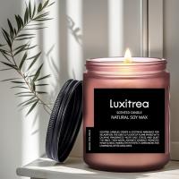 China Modern Scented Soy Wax Candle Tropical Orchard Strawberry Scented Candle 7oz 50 Hours for sale