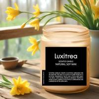 China Fresh Fruit Aroma Scented Soy Wax Candle Kumquat Scented 50 Hours 7 Oz Soy Candle for sale