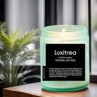 China 7oz Coconut Scented Candles 50 Hours Natural Non Toxic And Eco Friendly for sale