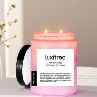 China 14oz Scented Soy Wax Candle Decoration Romantic Atmosphere Clove 2 Wick Candles for sale