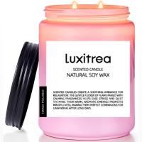 China 14oz Scented Soy Wax Candle Decoration Romantic Atmosphere Clove 2 Wick Candles for sale