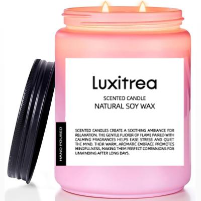 China 14oz Scented Soy Wax Candle Decoration Romantic Atmosphere Clove 2 Wick Candles for sale