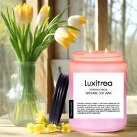 China 14oz Scented Soy Wax Candle Decoration Romantic Atmosphere Clove 2 Wick Candles for sale