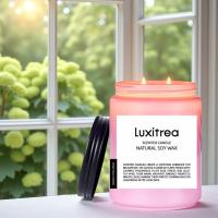 China 14oz Scented Soy Wax Candle Decoration Romantic Atmosphere Clove 2 Wick Candles for sale
