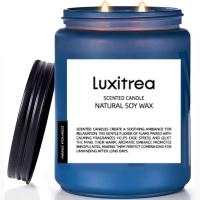 China 19 Oz Scented Soy Wax Candle Paddywax Blue Citrus And Basil Scented Candle 2 Wick 110 Hours for sale