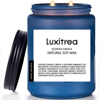 China 19 Oz Scented Soy Wax Candle Paddywax Blue Citrus And Basil Scented Candle 2 Wick 110 Hours for sale