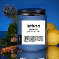China 19 Oz Scented Soy Wax Candle Paddywax Blue Citrus And Basil Scented Candle 2 Wick 110 Hours for sale