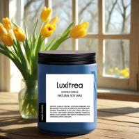 China 19 Oz Scented Soy Wax Candle Paddywax Blue Citrus And Basil Scented Candle 2 Wick 110 Hours for sale