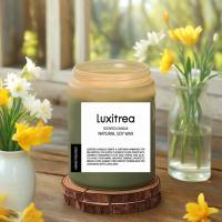 China Blueberry Lavender Custom Scented Candles 19 Oz 2 Wick 110 Hours Long Lasting for sale