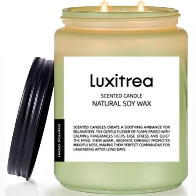 China Luxitrea Candle Scented Soy Wax Candle 19 oz 2 Wick 110 Hours Long Lasting Candle Voluspa Blue Citrus and Whiplash Scented Candle for sale