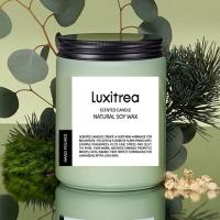 China Luxitrea Candle Scented Soy Wax Candle 19 oz 2 Wick 110 Hours Long Lasting Candle Voluspa Blue Citrus and Whiplash Scented Candle for sale
