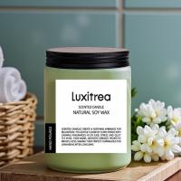 China Luxitrea Candle Scented Soy Wax Candle 19 oz 2 Wick 110 Hours Long Lasting Candle Voluspa Blue Citrus and Whiplash Scented Candle for sale