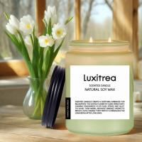 China Luxitrea Candle Scented Soy Wax Candle 19 oz 2 Wick 110 Hours Long Lasting Candle Voluspa Blue Citrus and Whiplash Scented Candle for sale