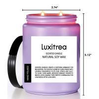 China Romantic Atmosphere Lavender Scented Candle Luxitrea Candle 14oz 2 Wick 110 Hours Long Lasting Candle Scented Soy Wax Candle for sale