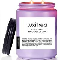 China Romantic Atmosphere Lavender Scented Candle Luxitrea Candle 14oz 2 Wick 110 Hours Long Lasting Candle Scented Soy Wax Candle for sale