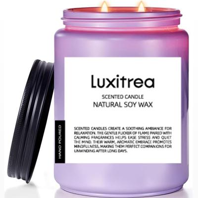 China Romantic Atmosphere Lavender Scented Candle Luxitrea Candle 14oz 2 Wick 110 Hours Long Lasting Candle Scented Soy Wax Candle for sale