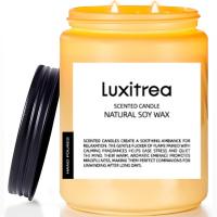 China Fresh Fruity Highly Scented Soy Candles Aroma Kumquat 19 Oz 2 Wick 110 Hours for sale