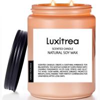 China Luxitrea Candle Neutral Wood Modified Cedar Scented Candle 14oz 2 Wick 110 Hours Long Lasting Candle Scented Soy Wax Candle for sale