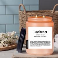 China Luxitrea Candle Neutral Wood Modified Cedar Scented Candle 14oz 2 Wick 110 Hours Long Lasting Candle Scented Soy Wax Candle for sale