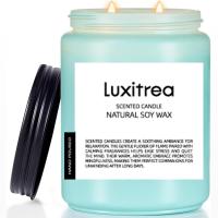 China 19 Oz Lemon Coconut Candle 2 Wick 110 Hours Biodegradable for Relaxation for sale