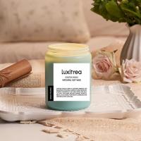 China 19 Oz Lemon Coconut Candle 2 Wick 110 Hours Biodegradable for Relaxation for sale