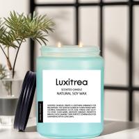 China 19 Oz Lemon Coconut Candle 2 Wick 110 Hours Biodegradable for Relaxation for sale